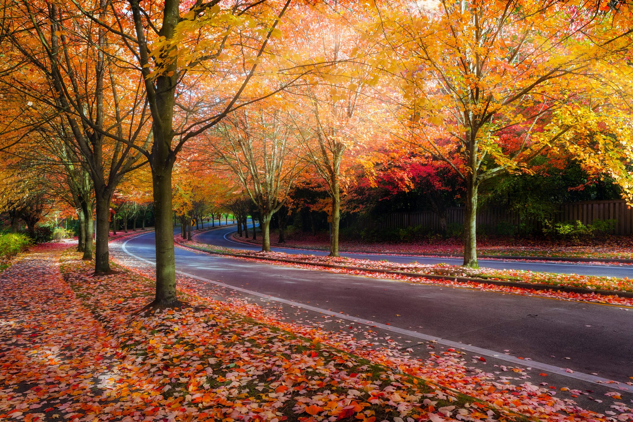 One-Of-A-Kind Fall Events In Washington State