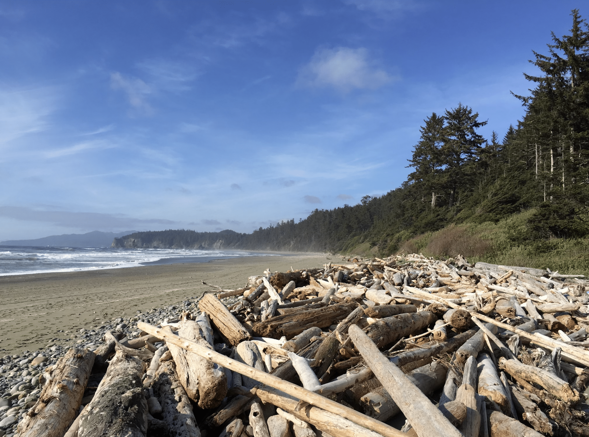 Best Beaches For A Beach Day On The Olympic Peninsula